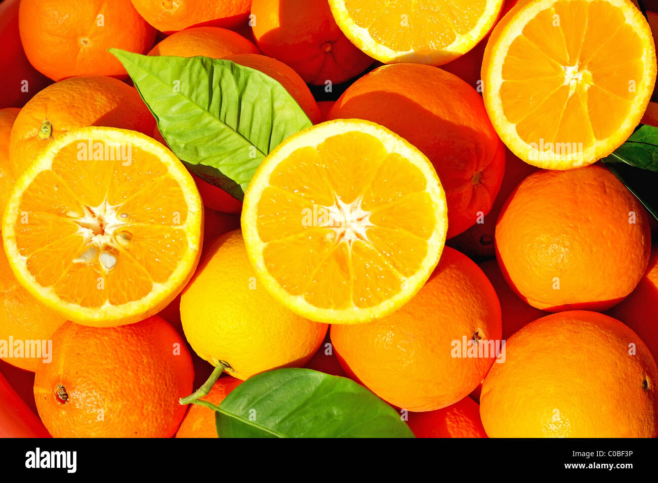 Sliced oranges in orange background Stock Photo - Alamy
