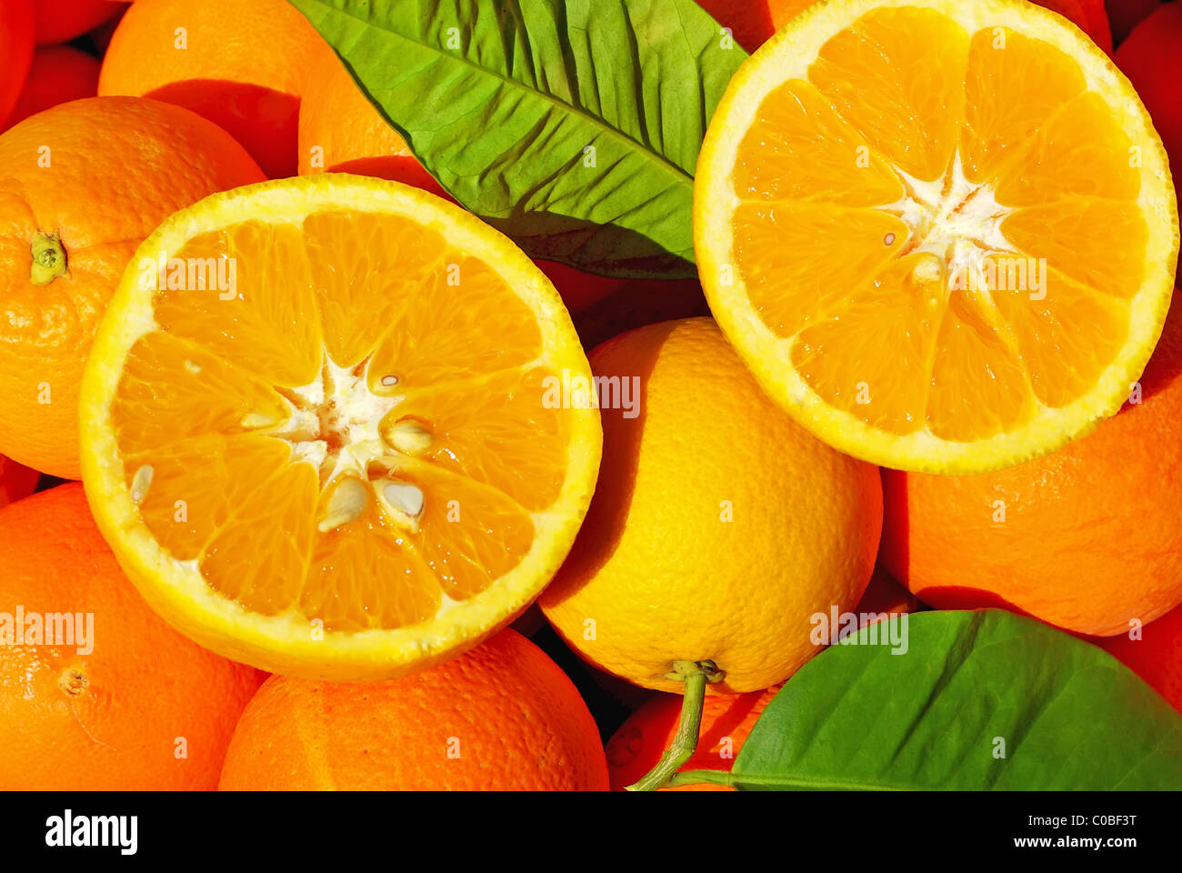 Sliced oranges in orange background Stock Photo - Alamy