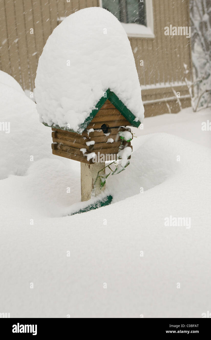 Covered bird hi-res stock photography and images - Alamy