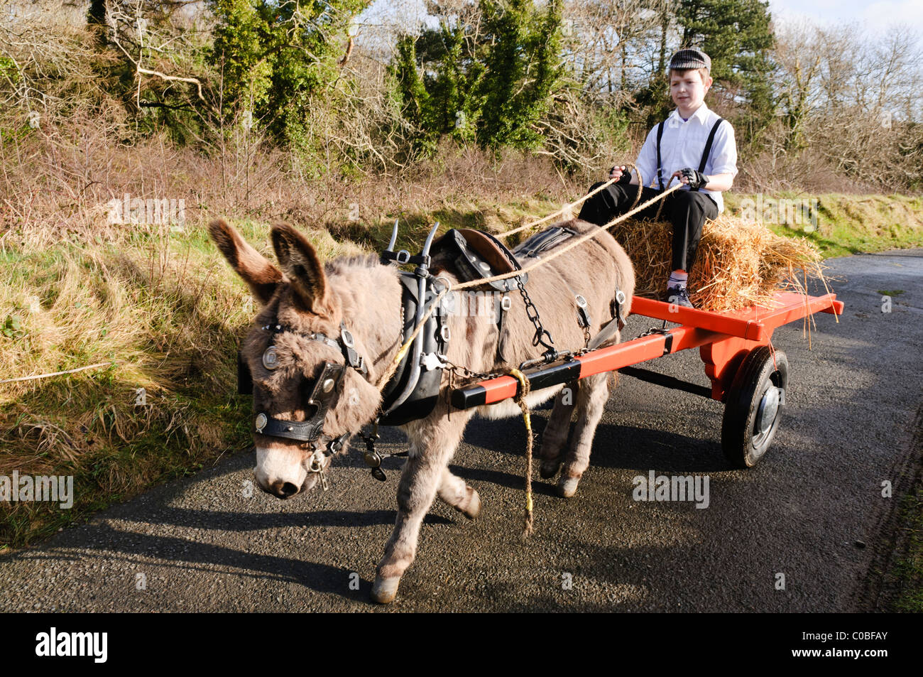Donkey and cart ireland hi-res stock photography and images - Alamy