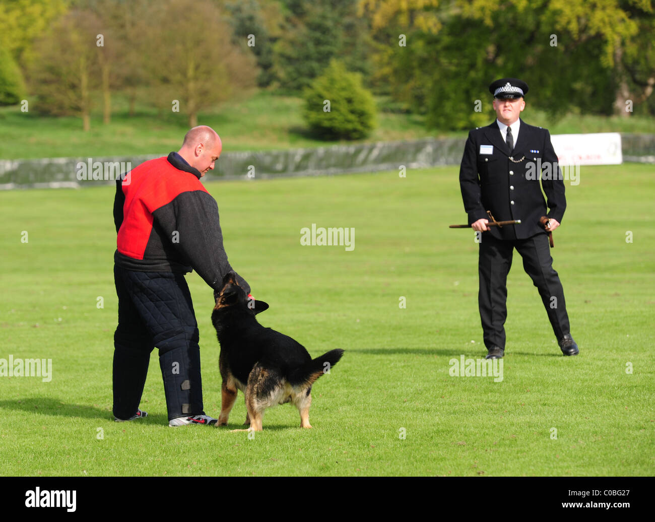 A Police Dog & Handler team competing at the National Police Dog Trials ...
