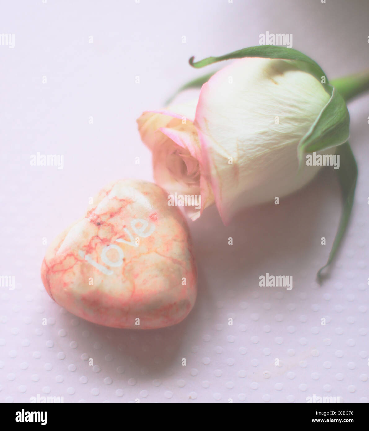 Love Heart with a Vintage Rose Stock Photo - Alamy