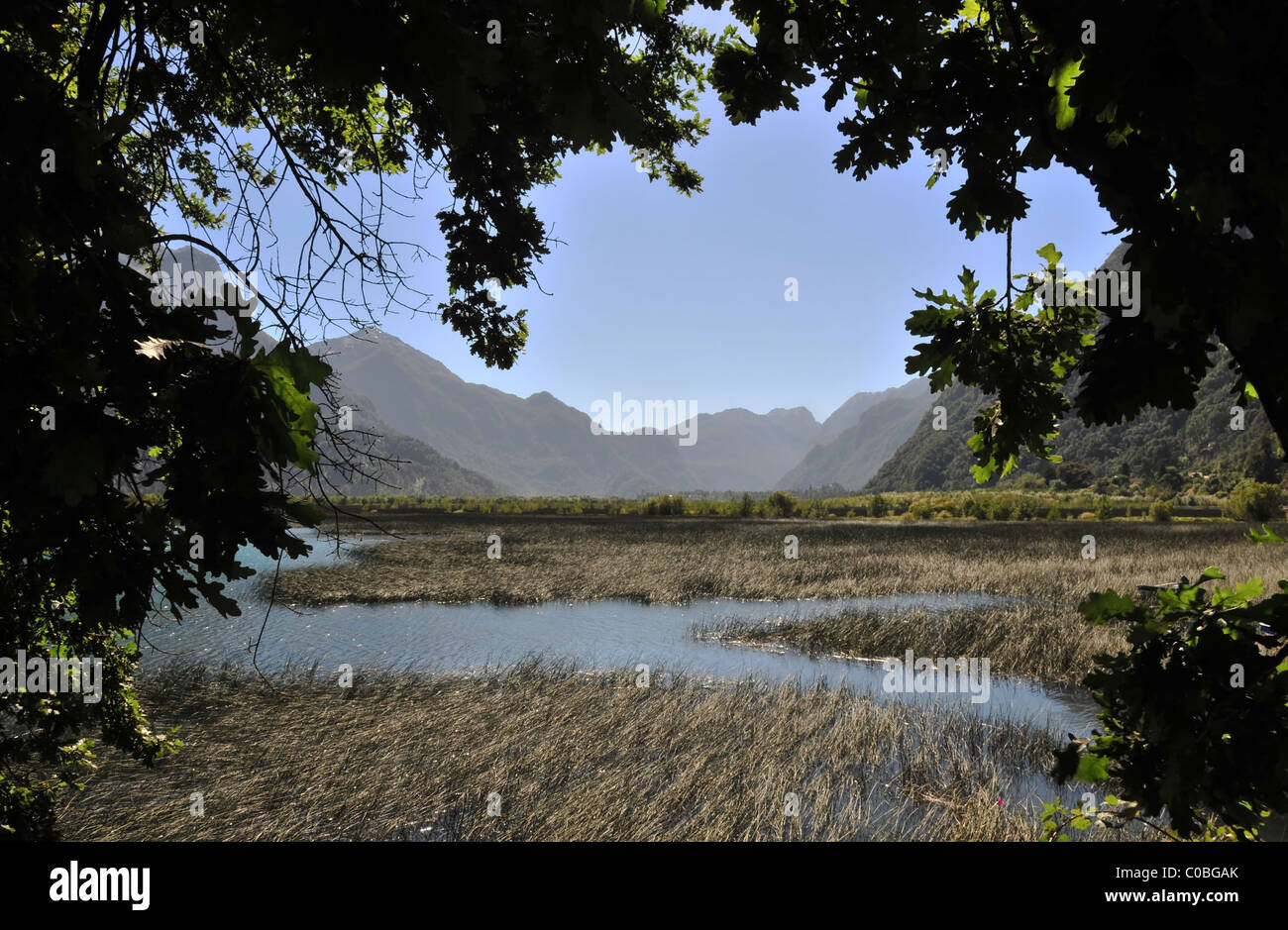 Blue sky view, through a tree window, of the River Peulla and marshland ...