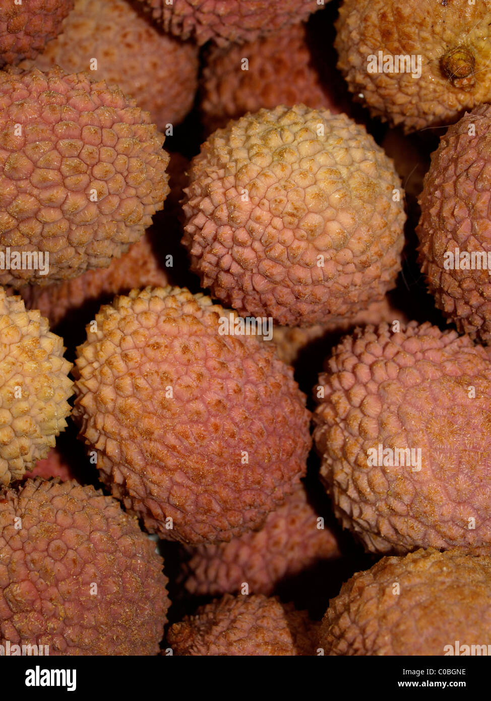 Luchee hi-res stock photography and images - Alamy