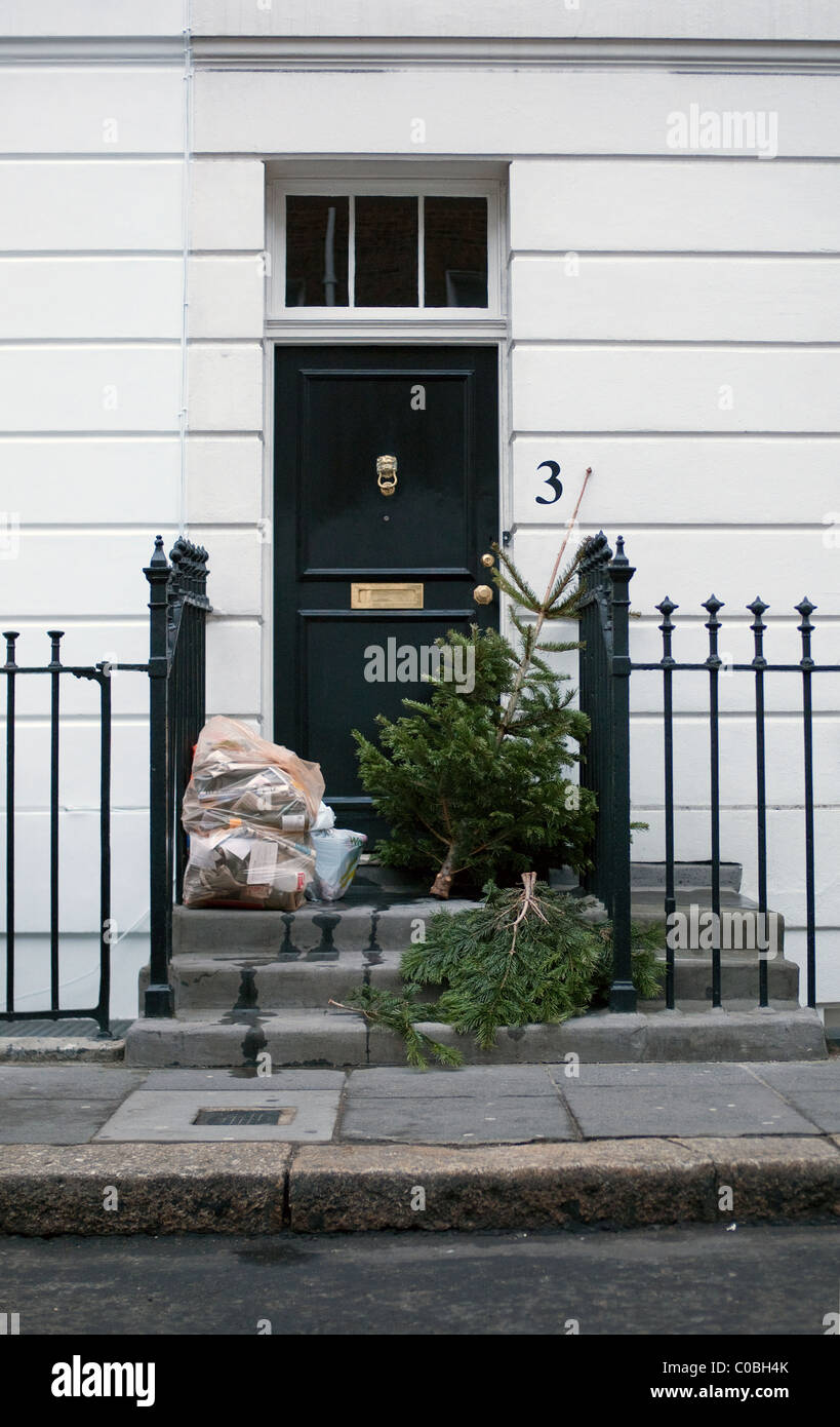 A discarded Christmas tree outside a Chelsea town house Stock Photo - Alamy