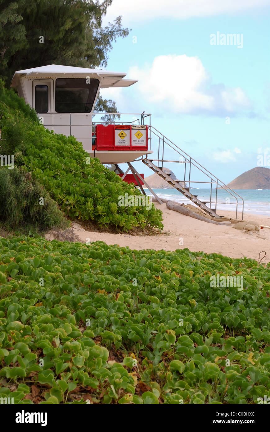 Lifeguard cpr hi-res stock photography and images - Alamy
