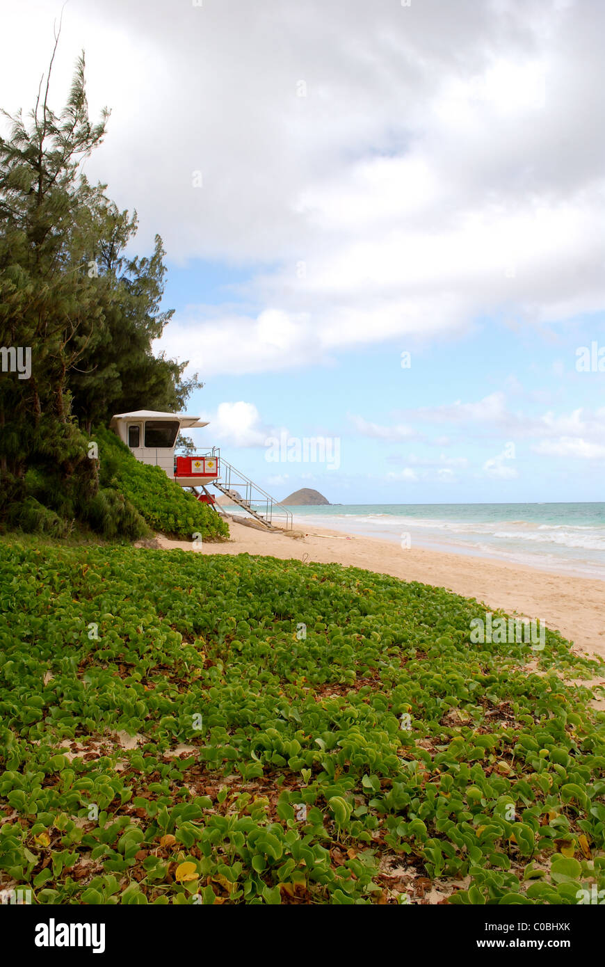 Lifeguard shack on beach. Oahu Hawaii Stock Photo - Alamy