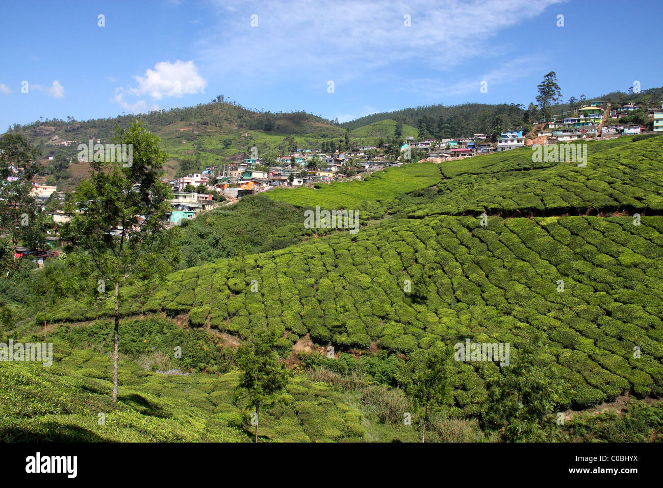 abstract of tea plantations and homes in the scenic touristic hill ...