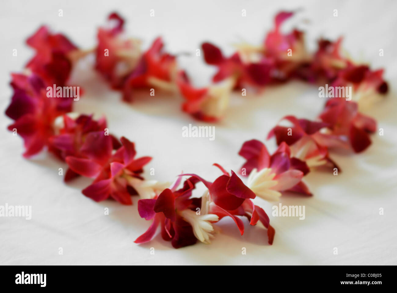 Pink Flower Lei arranged in heart shape on hotel bed in hawaii Stock ...