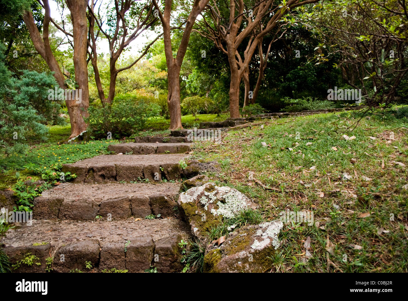 Japanese zen stairs hi-res stock photography and images - Alamy