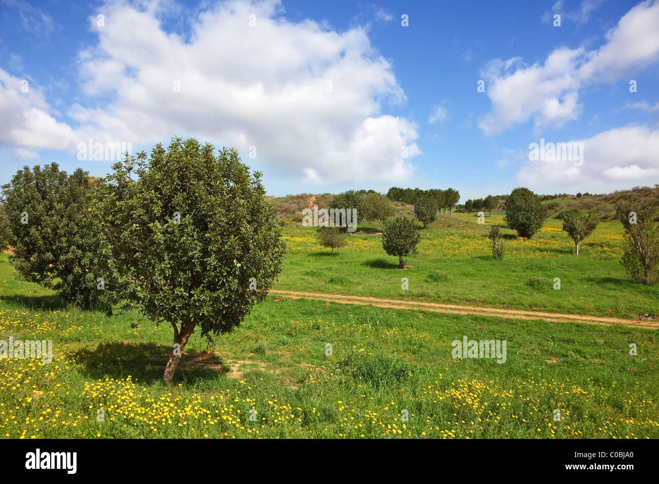 Rural footpath hi-res stock photography and images - Alamy