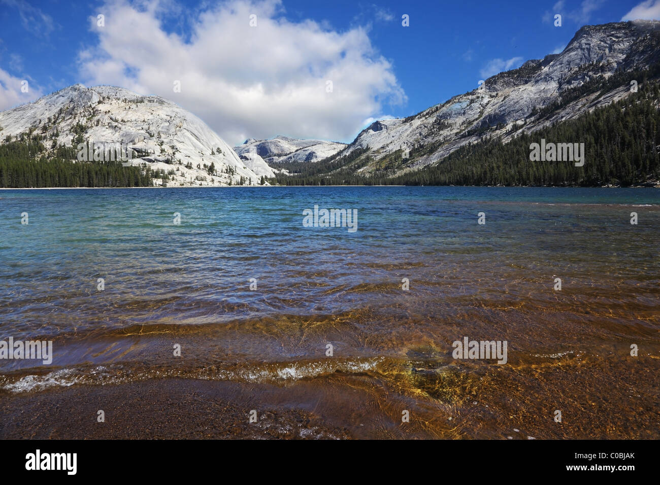 Shallow clear green water hi-res stock photography and images - Alamy