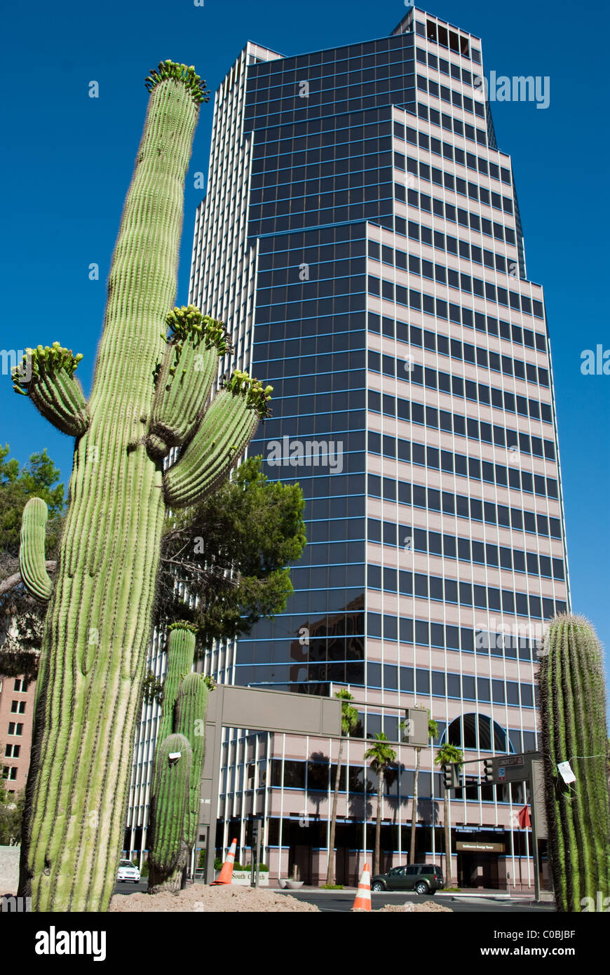 Cactus outside building hi-res stock photography and images - Alamy