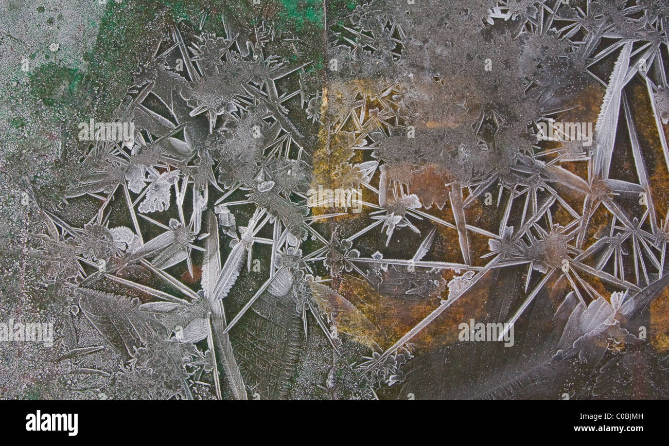 Like pattern hi-res stock photography and images - Alamy