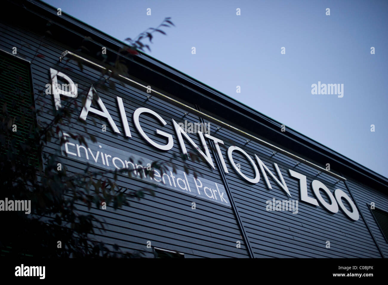 Paignton Zoo High Resolution Stock Photography and Images - Alamy