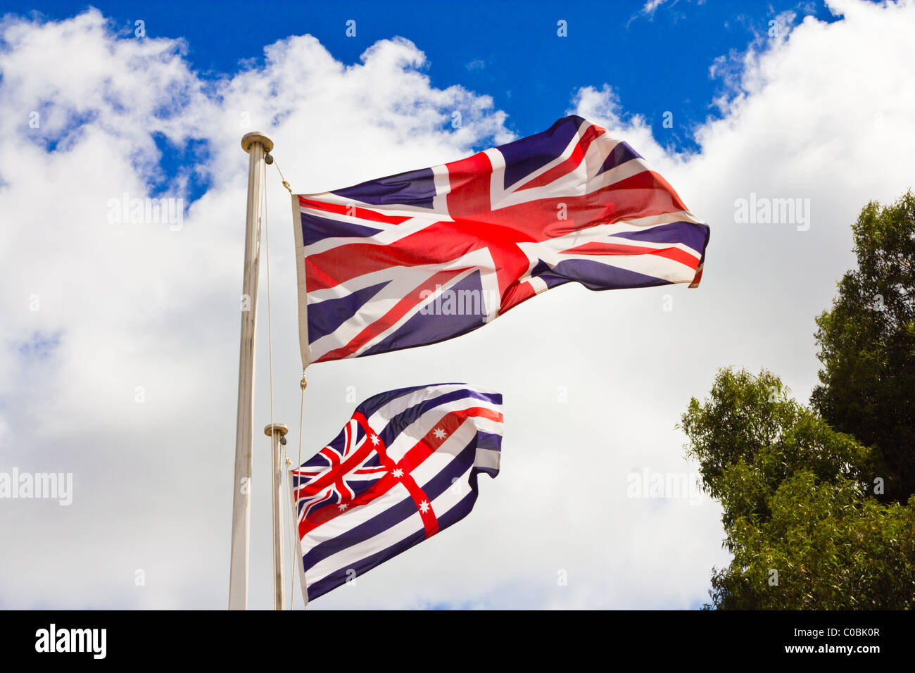 Gum tree murray river in hi-res stock photography and images - Alamy