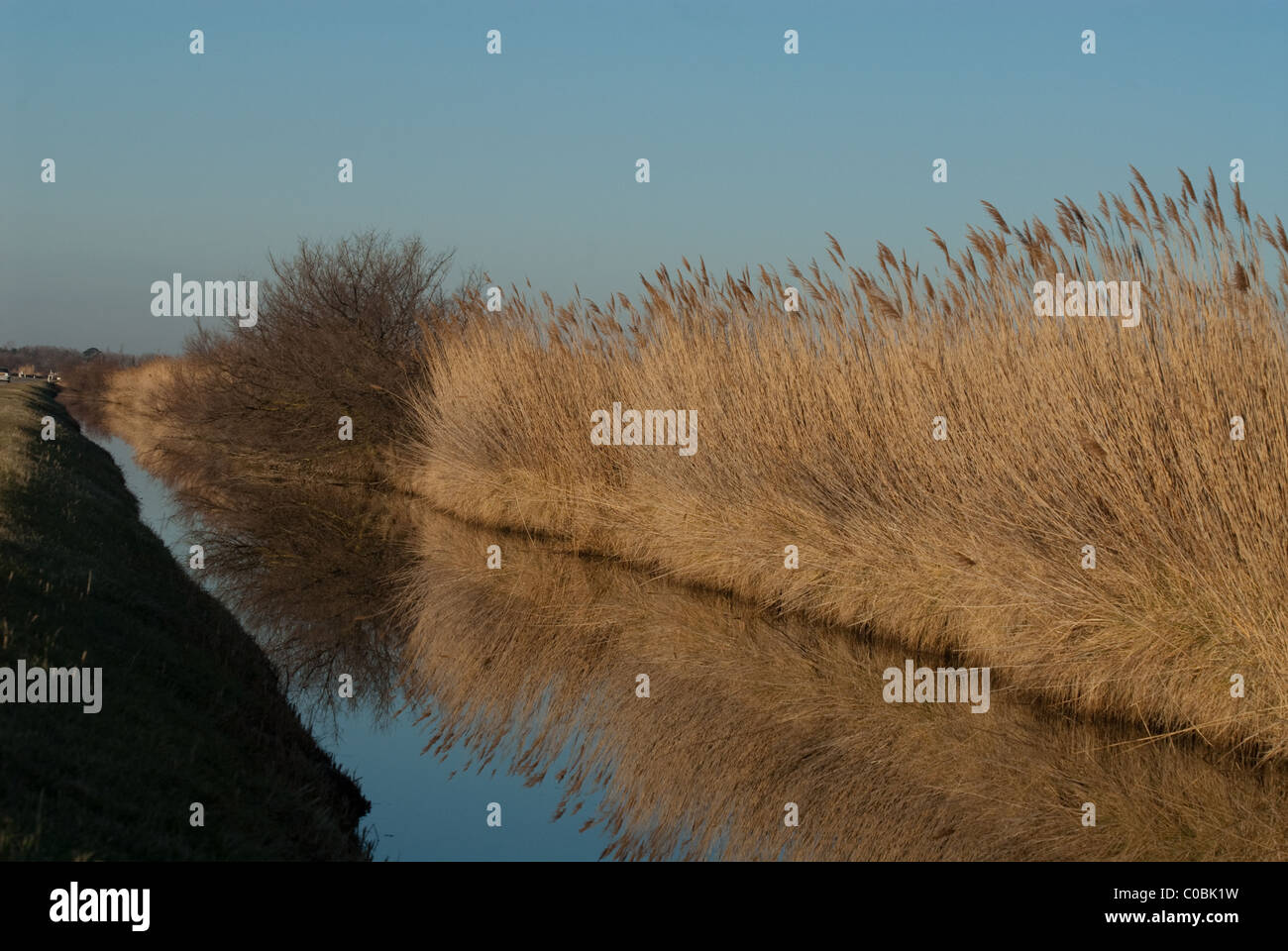 Water rushes in stream hi-res stock photography and images - Alamy
