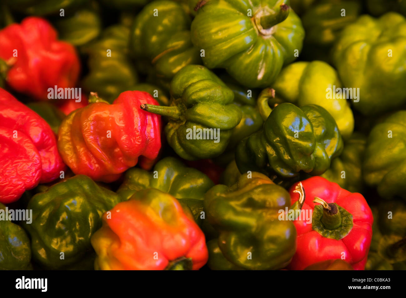 Merida mexico markets hi-res stock photography and images - Alamy