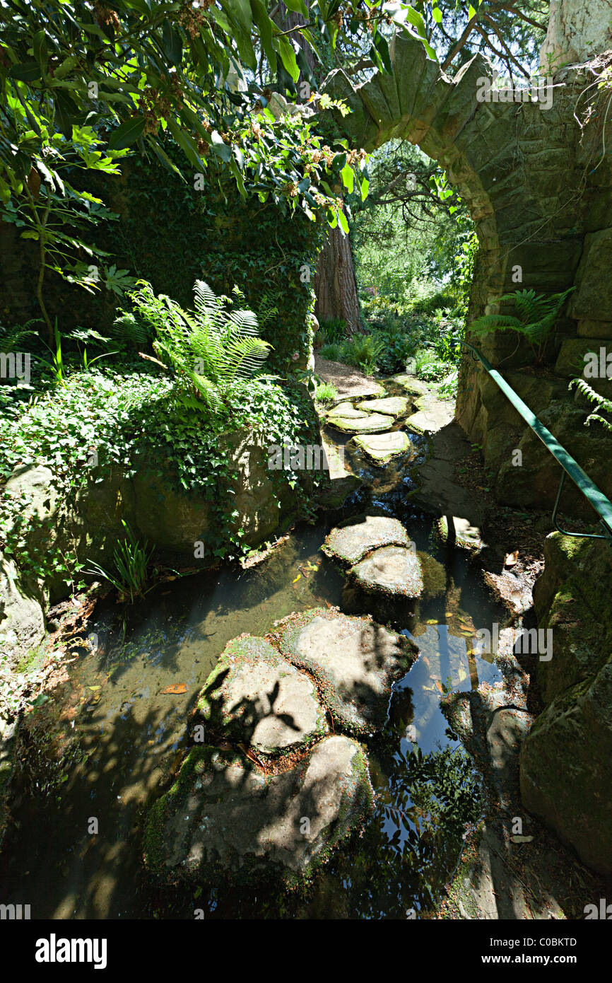 Stone arch and ferns Dewstow Gardens Wales UK Stock Photo - Alamy