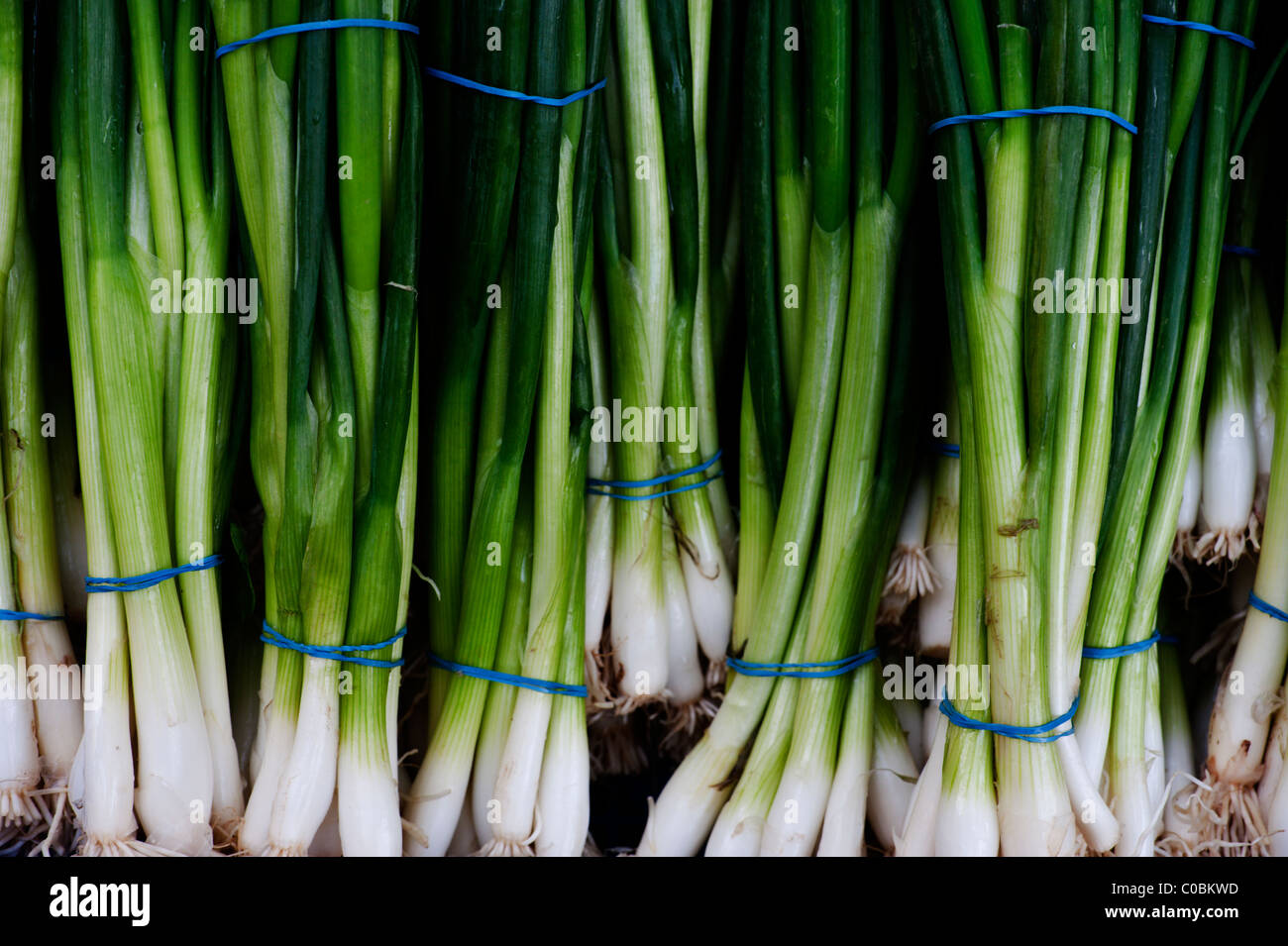 Spring onions or green onions for sale in bundles at a farmer's market ...