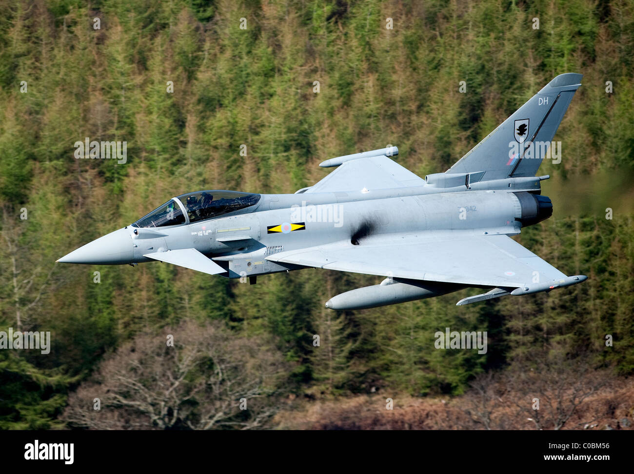 Typhoon will provide the RAF with a multi-role combat aircraft, capable ...