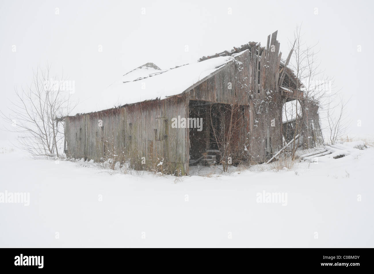 Snow covered barn Stock Photo - Alamy