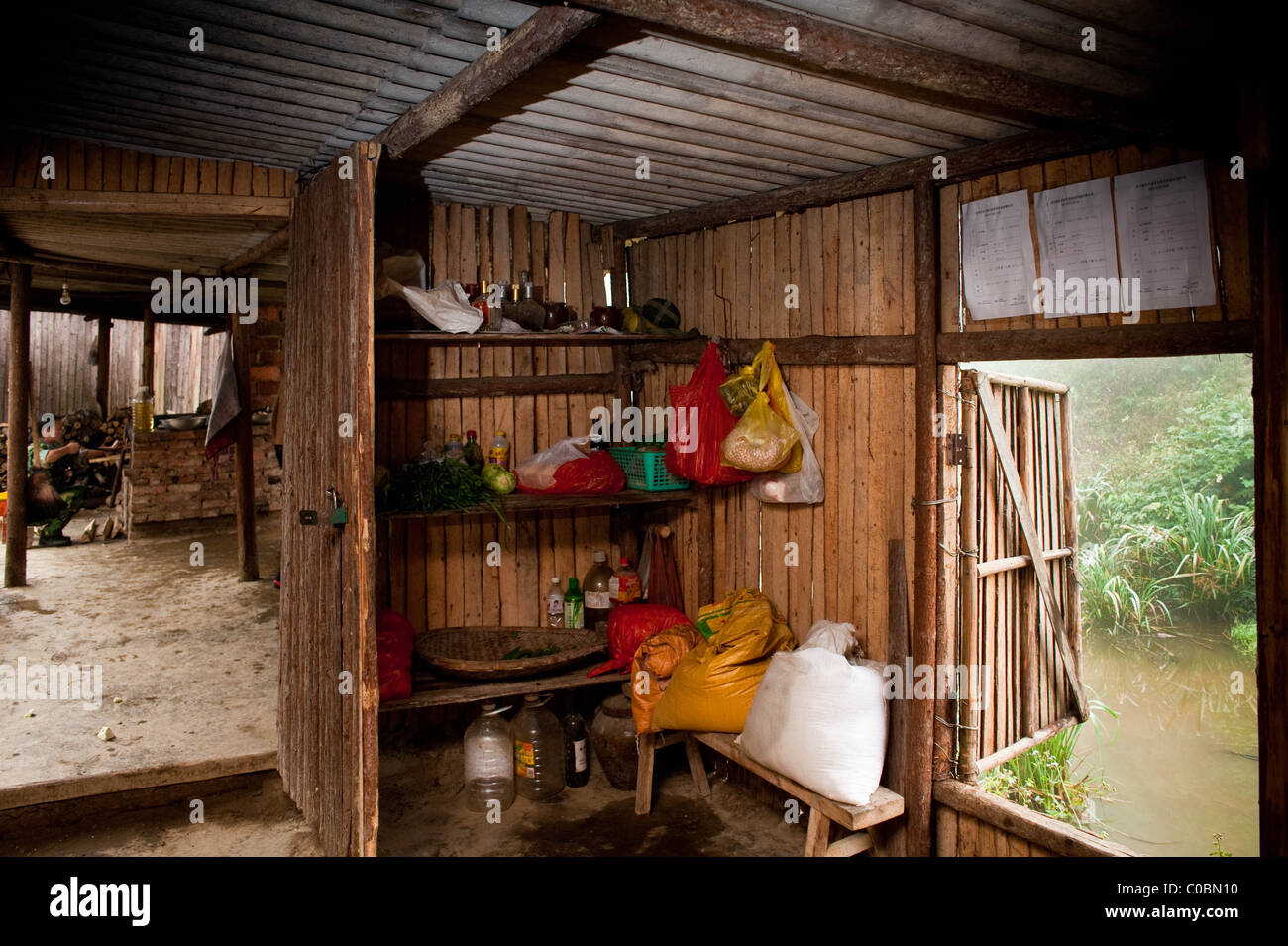 Miao people working on a Taxus / Yew tree plantation project Stock ...