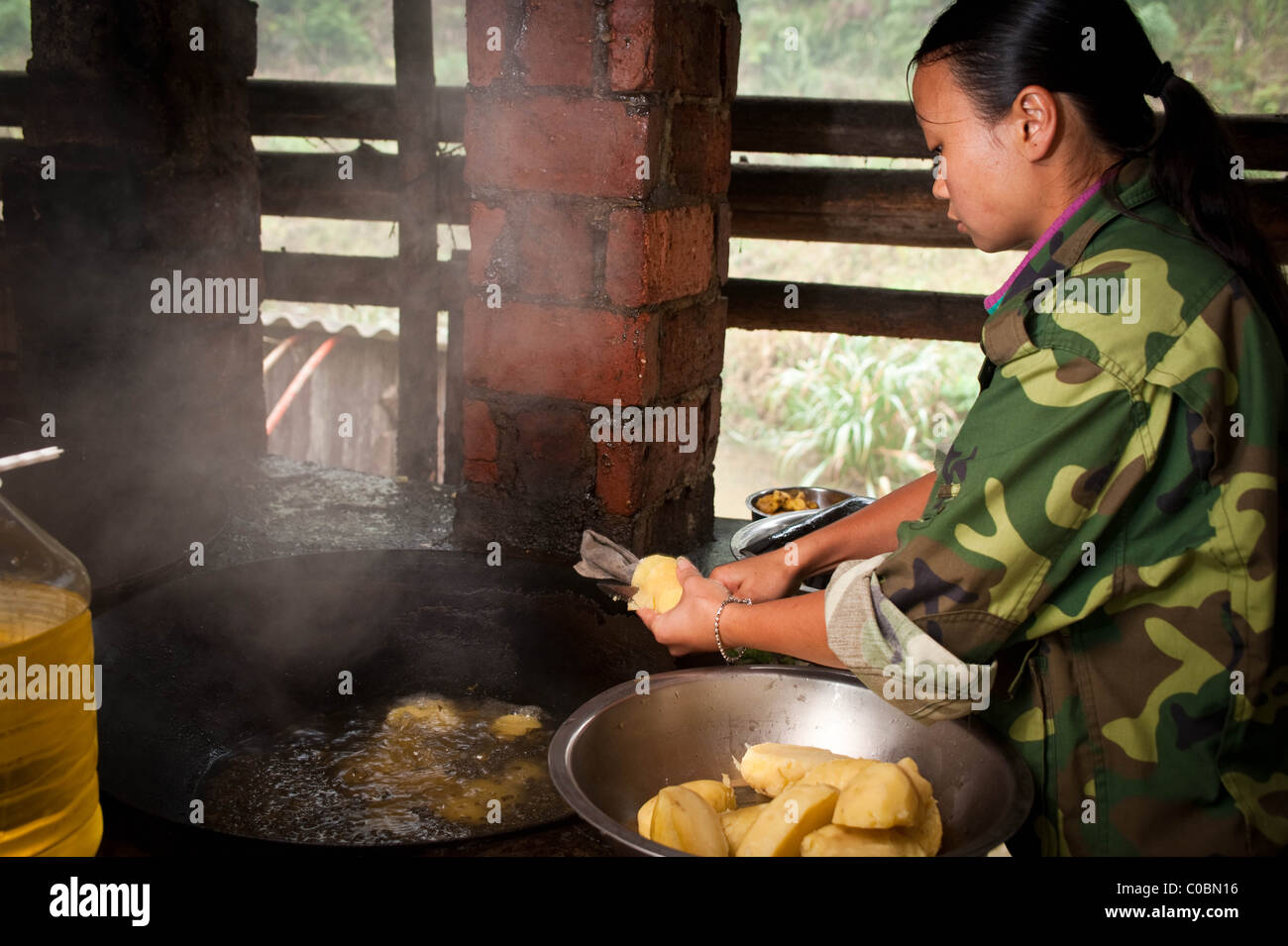 Miao people working on a Taxus / Yew tree plantation project Stock ...