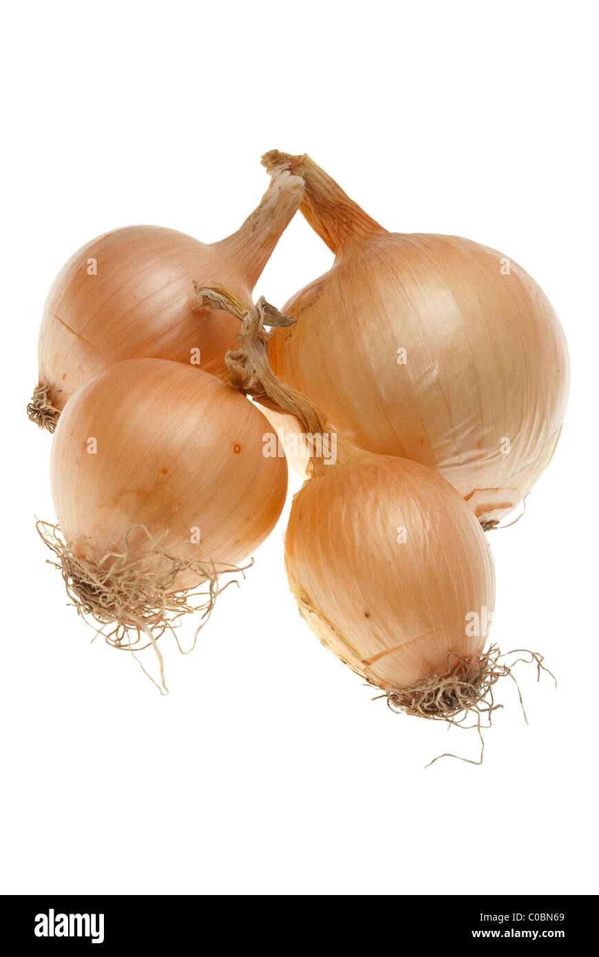 Four ripe onions isolated on a white background Stock Photo - Alamy