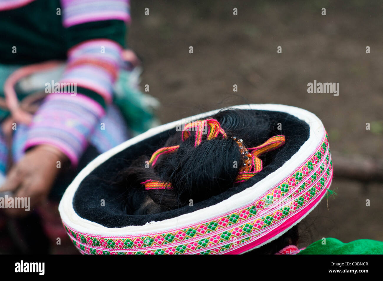 Miao people working on a Taxus / Yew tree plantation project Stock ...