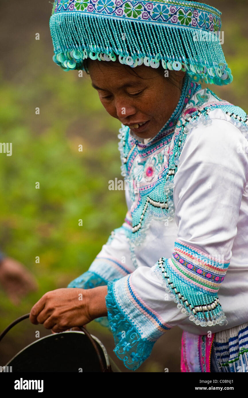 Miao people working on a Taxus / Yew tree plantation project Stock ...