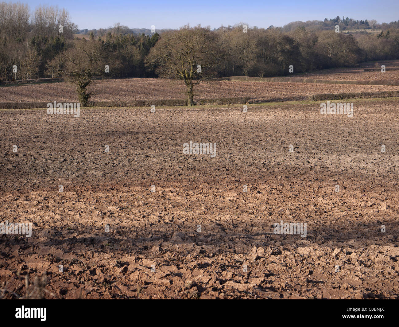 a ploughed field Stock Photo - Alamy