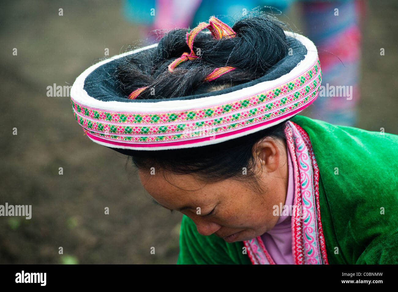Miao people working on a Taxus / Yew tree plantation project Stock ...