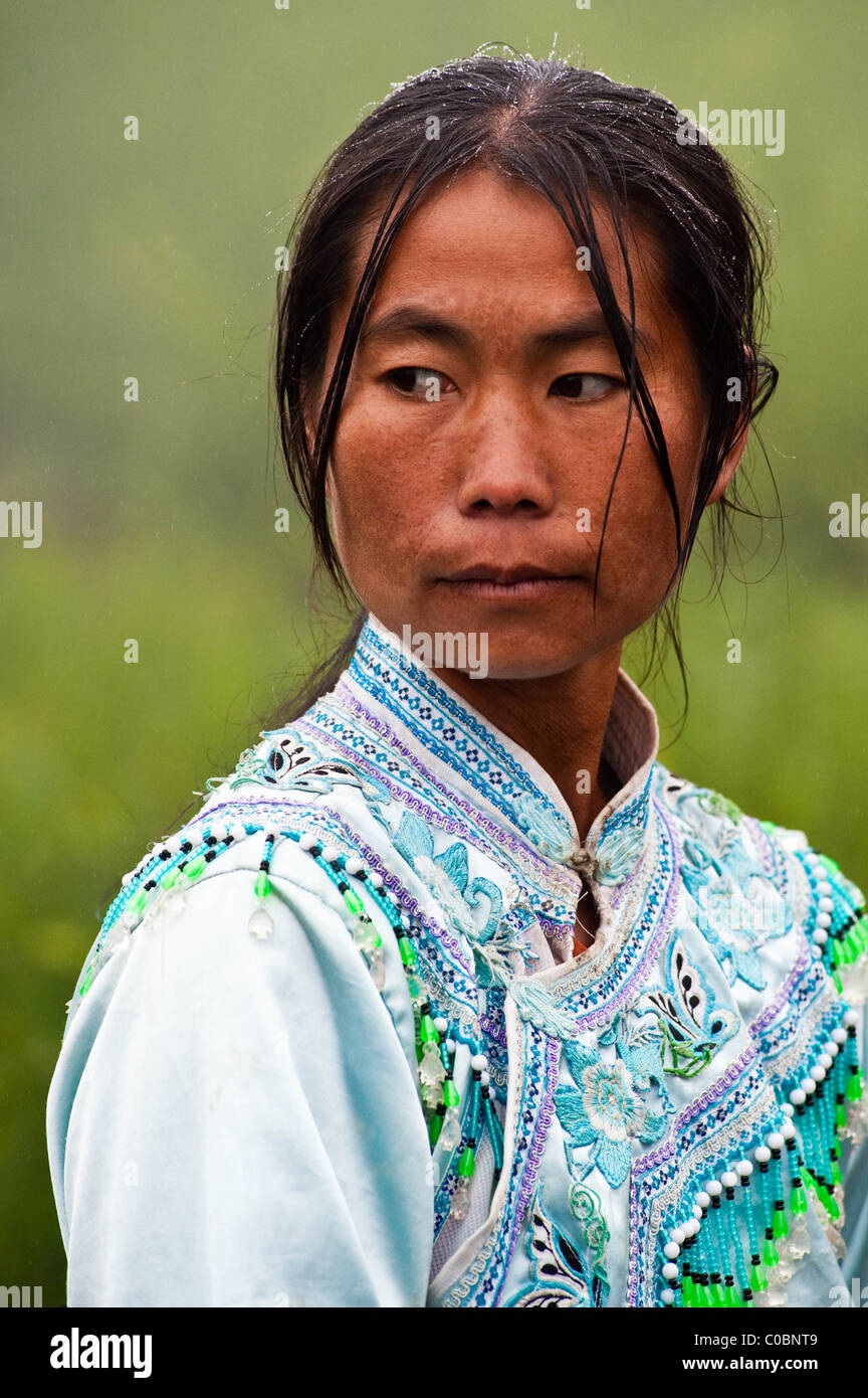 Miao people working on a Taxus / Yew tree plantation project Stock ...