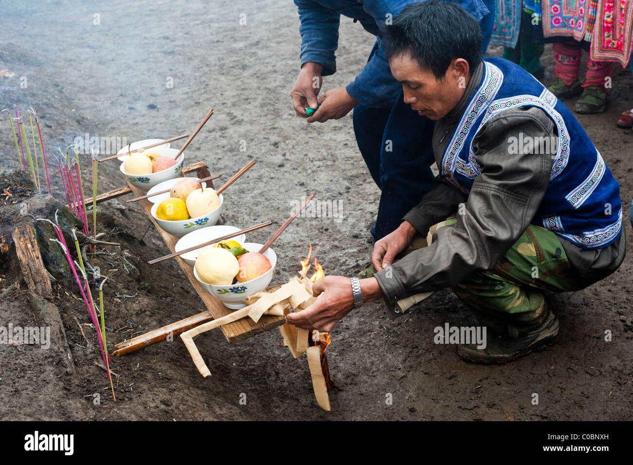 Miao people working on a Taxus / Yew tree plantation project Stock ...