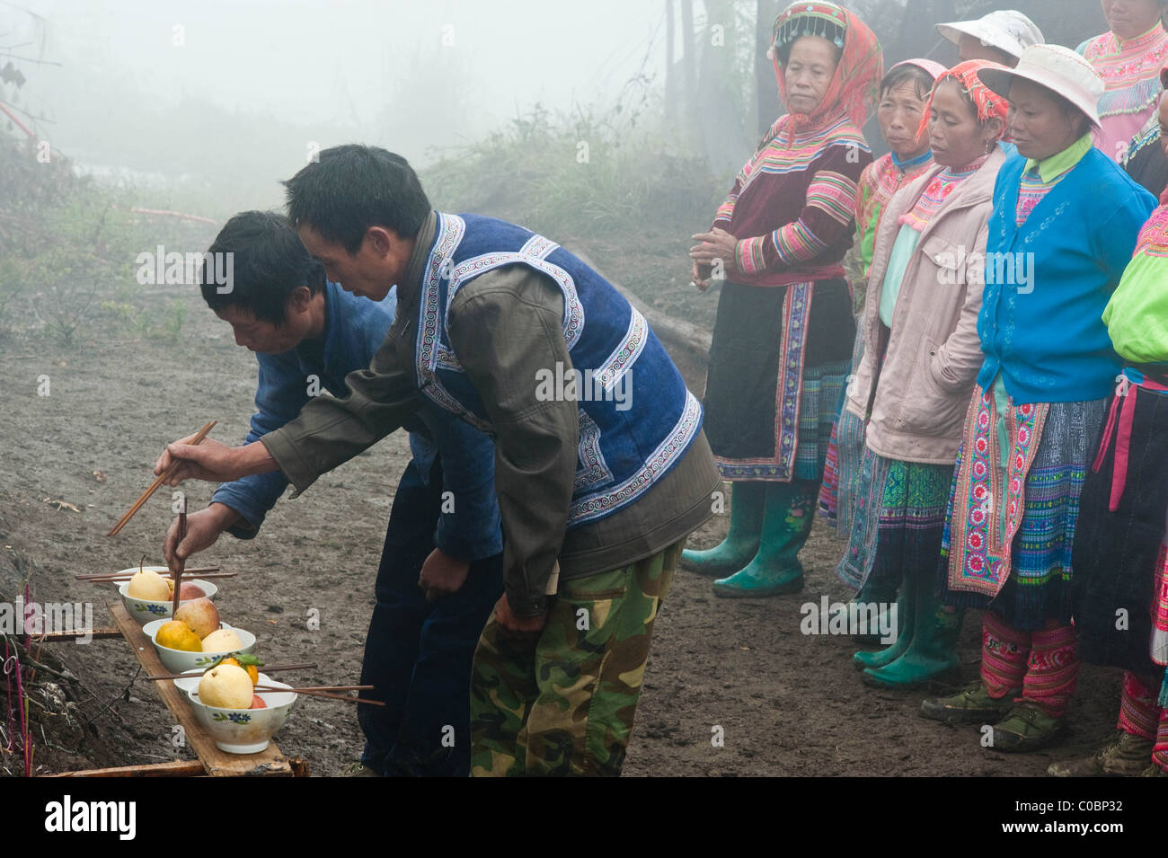 Miao people working on a Taxus / Yew tree plantation project Stock ...