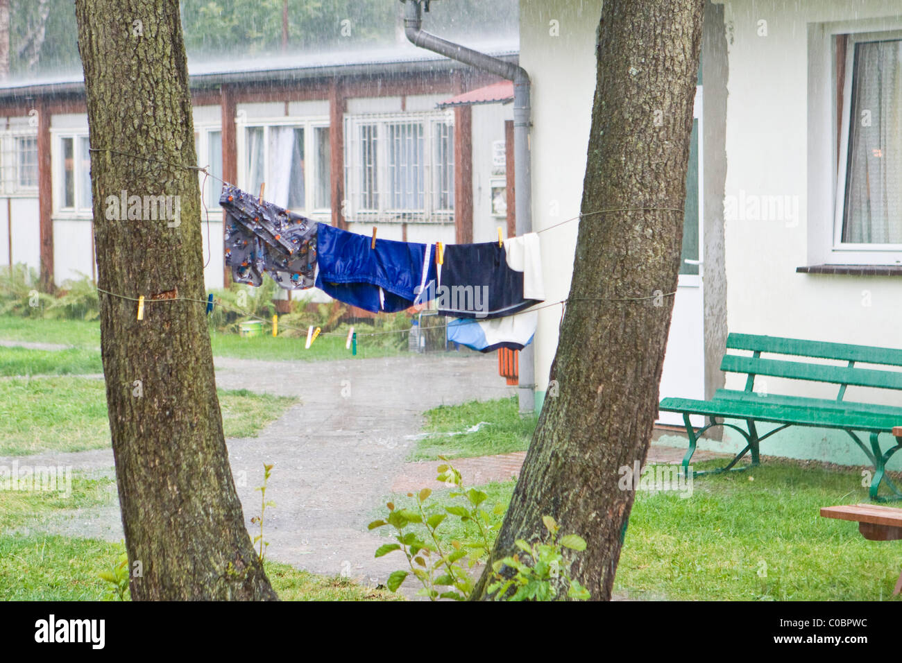 Clothes on a line between tree trunks with houses in the background ...