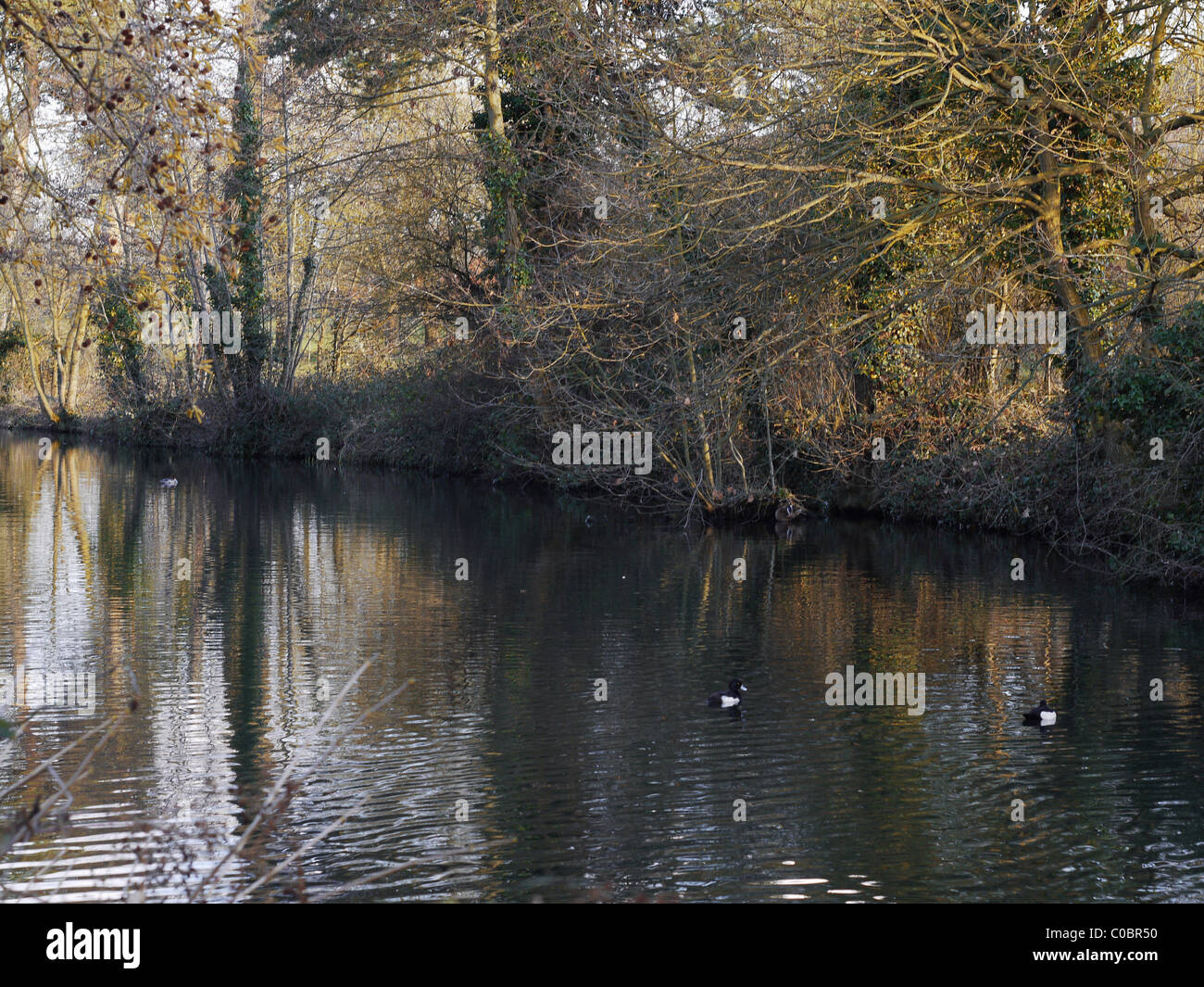 forge mill national needle museum bordesley abbey Stock Photo - Alamy