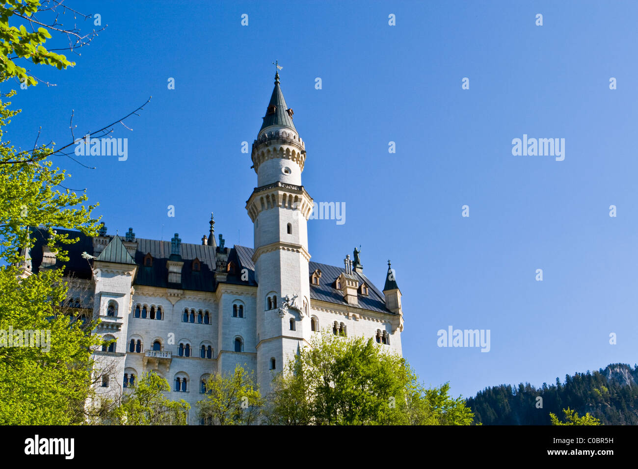 Neu Schwanstein Castle surrounded with lush foliage Stock Photo - Alamy