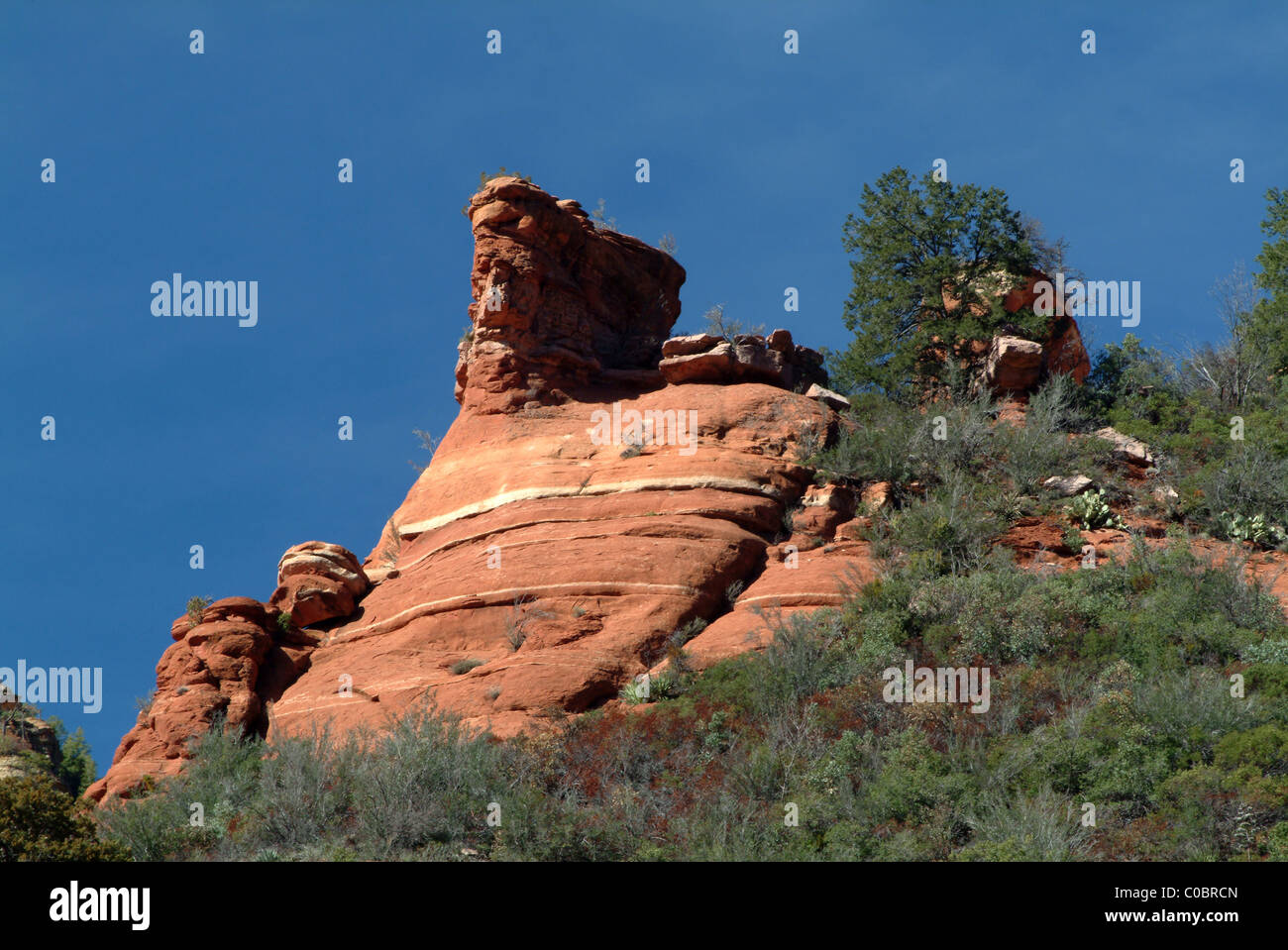 Slide rock hi-res stock photography and images - Alamy