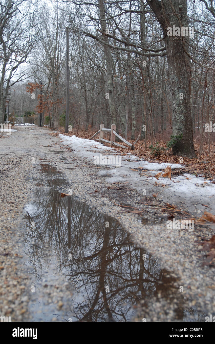 Trees and telephone poles hi-res stock photography and images - Alamy