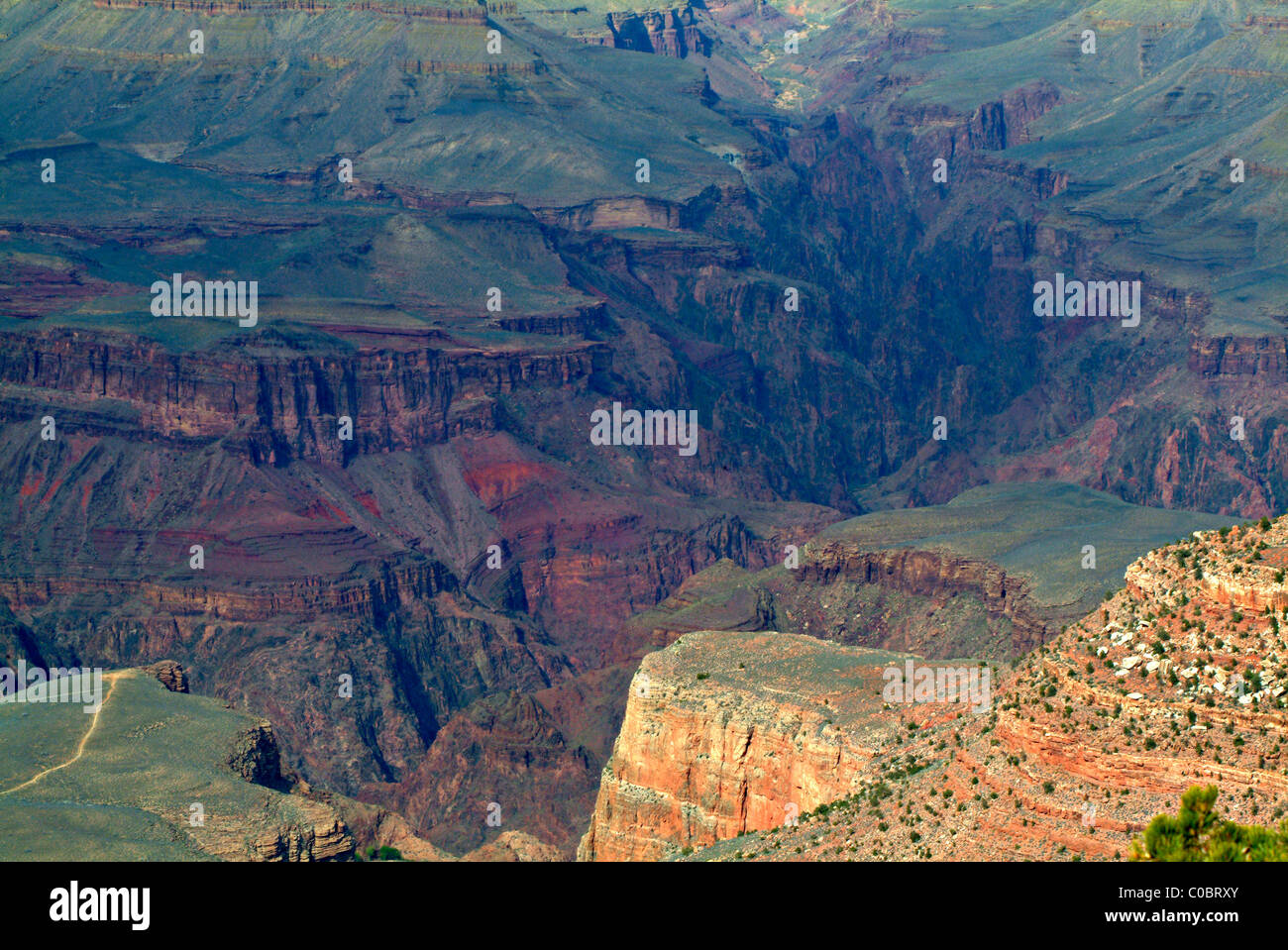 View of Grand Canyon National Park from Canyon View Arizona United ...
