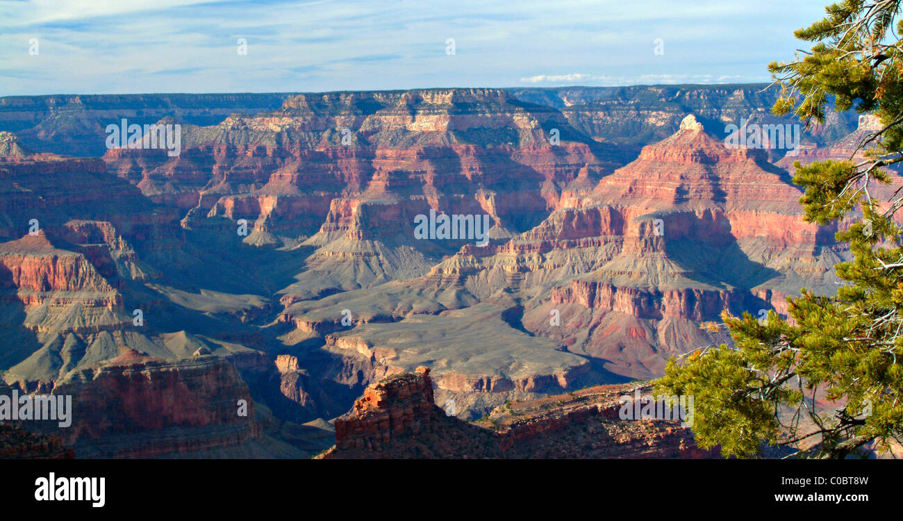 View of Grand Canyon National Park from Canyon View Arizona United ...