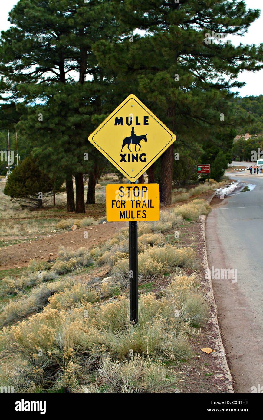 Mule Crossing Road Sign at Grand Canyon Village Arizona United States ...