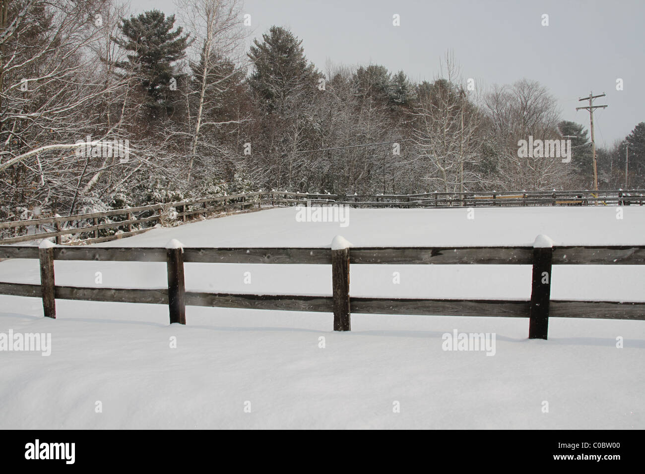 Snowy Quebec winter field scene Stock Photo - Alamy