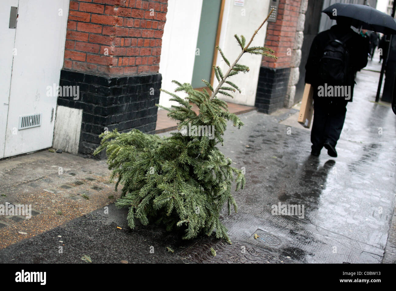 Discarded Christmas tree on a street in London Stock Photo - Alamy