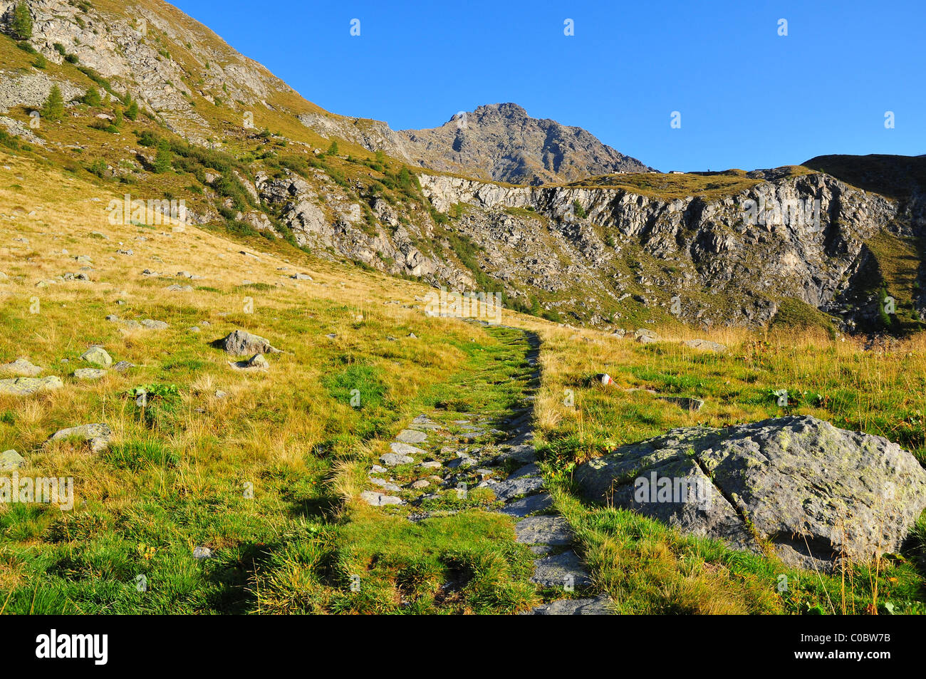 Gray green diorite hi-res stock photography and images - Alamy