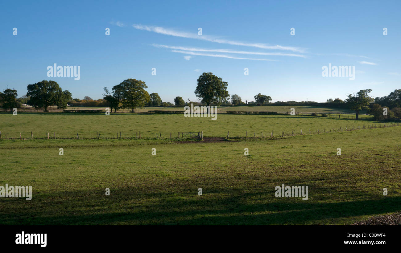 Astwood hi-res stock photography and images - Alamy