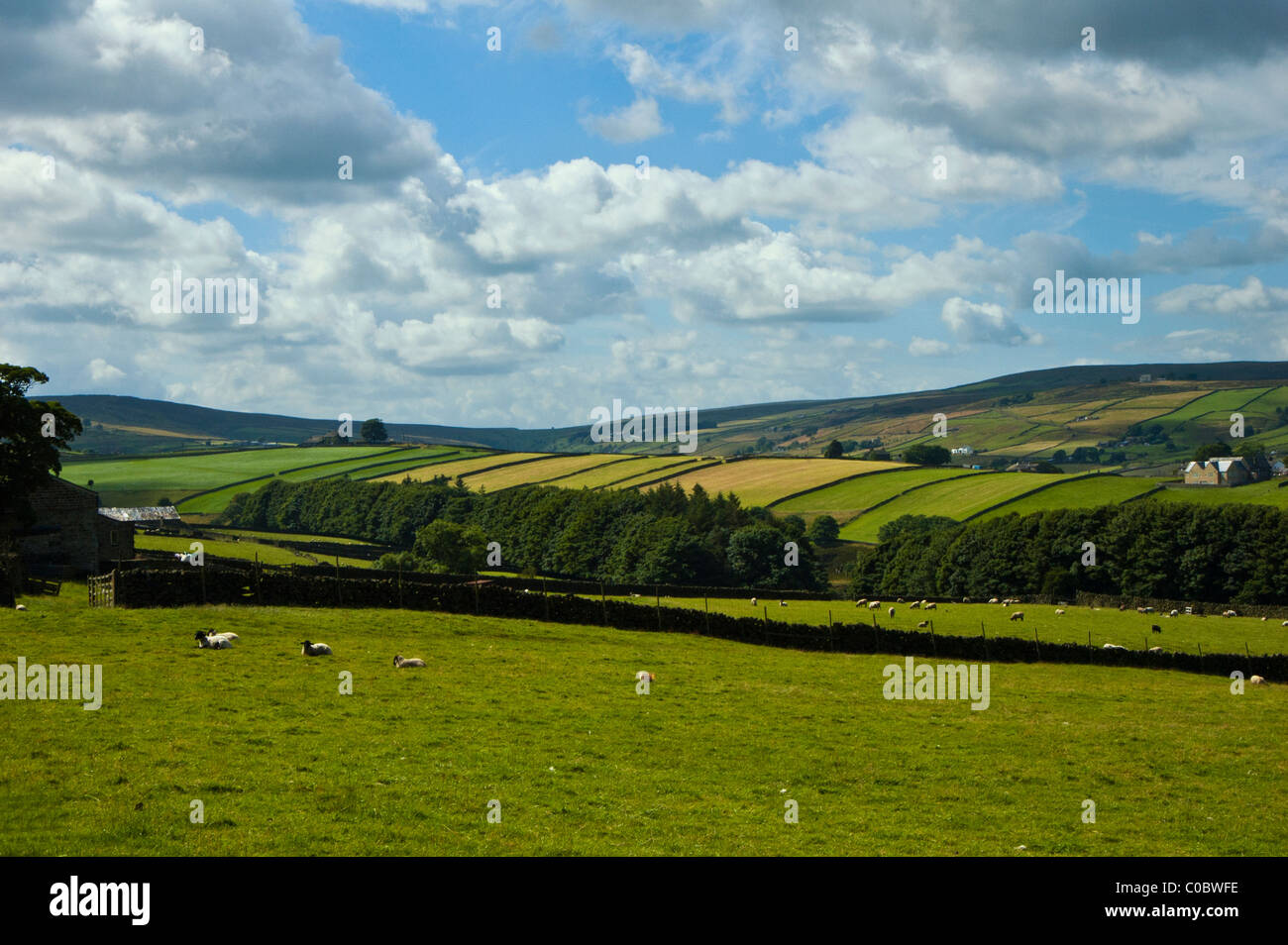 Yorkshire Bronte Country, West Riding Stock Photo - Alamy
