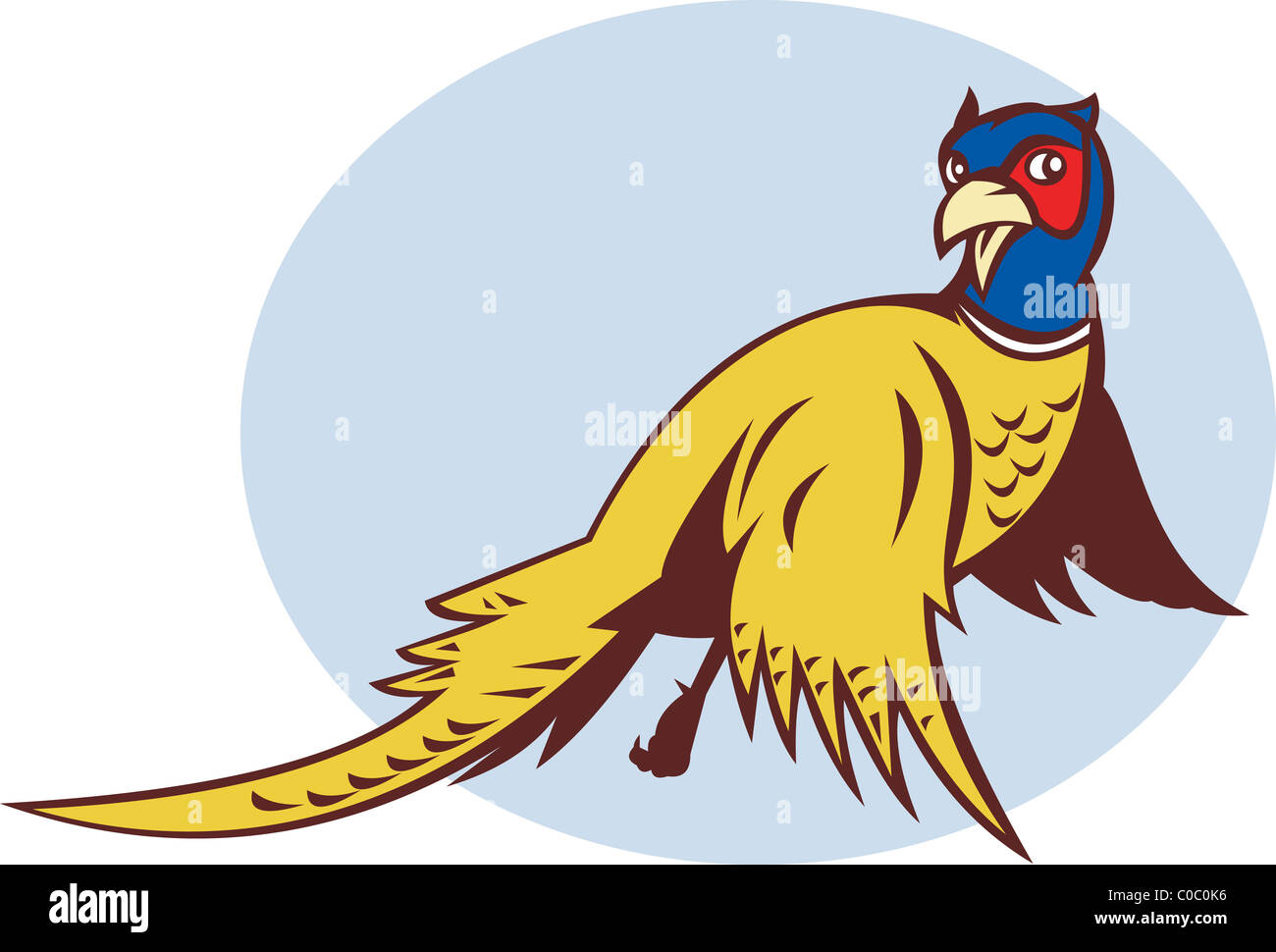 illustration of a Cartoon Pheasant bird flying looking surprised Stock ...